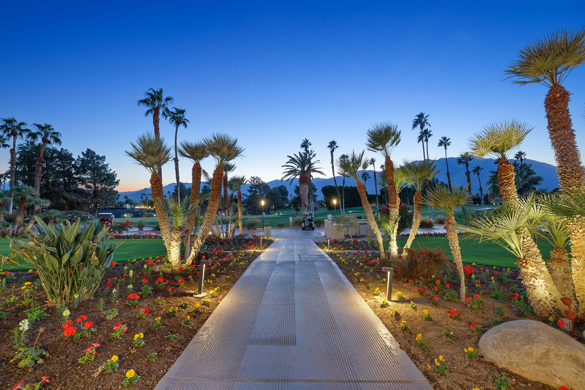 Photo Gallery - Desert Princess Country Club