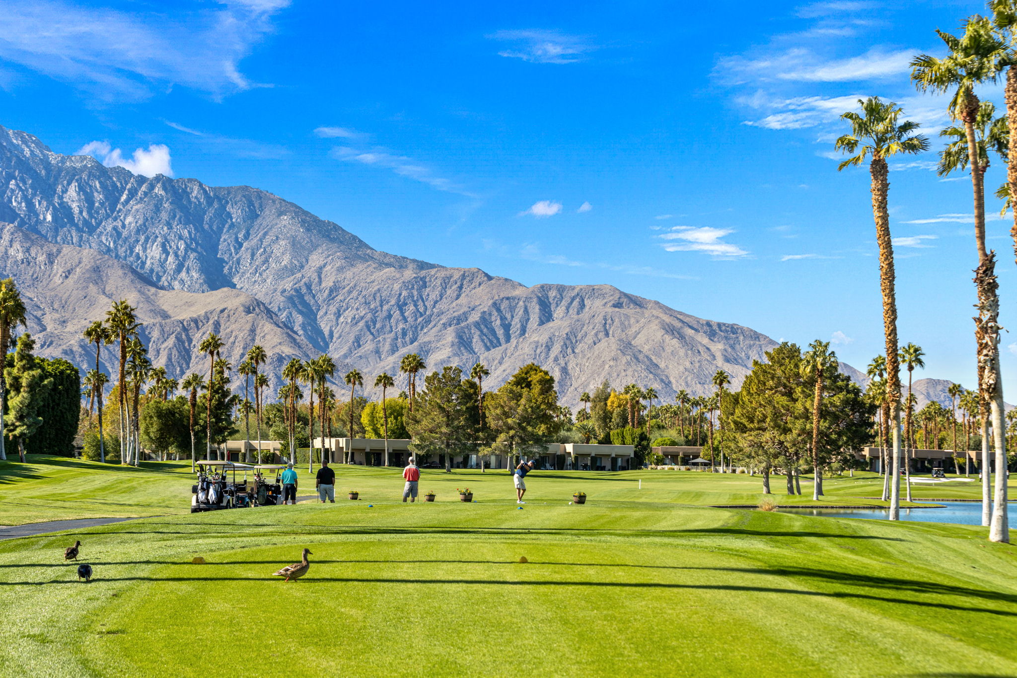 Photo Gallery - Desert Princess Country Club