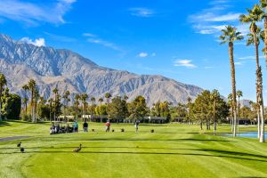 Photo Gallery - Desert Princess Country Club