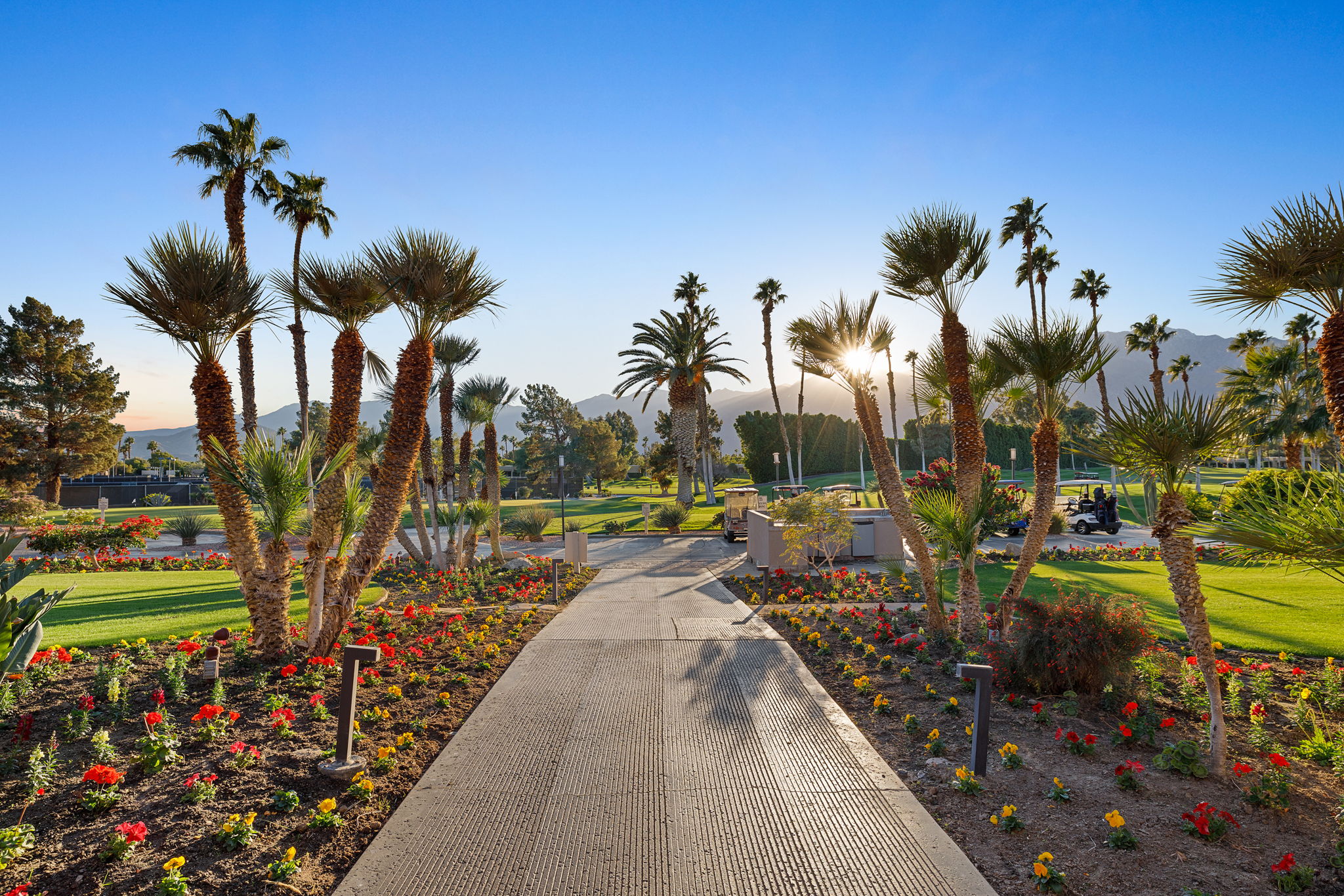 Photo Gallery - Desert Princess Country Club