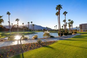 Photo Gallery - Desert Princess Country Club