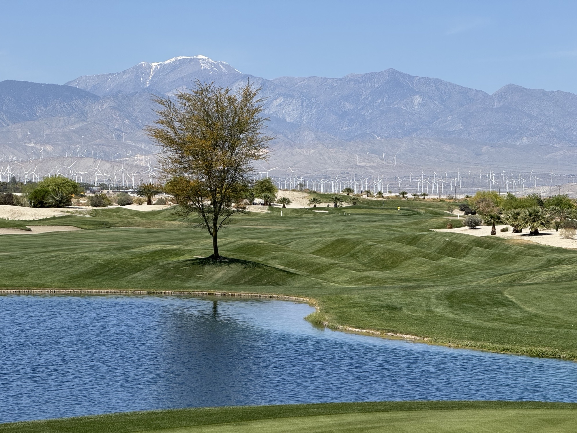 Photo Gallery - Desert Princess Country Club